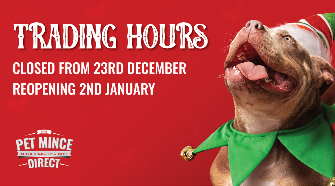 We WOOF You A Merry Christmas | Pet Mince Direct