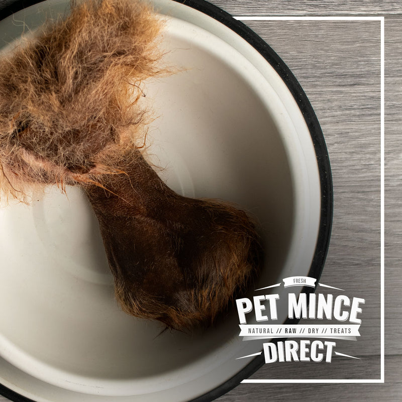 KANGAROO TESTICLES WITH FUR | Pet Mince Direct