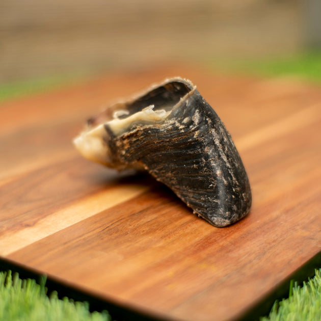 BEEF HOOF | Pet Mince Direct