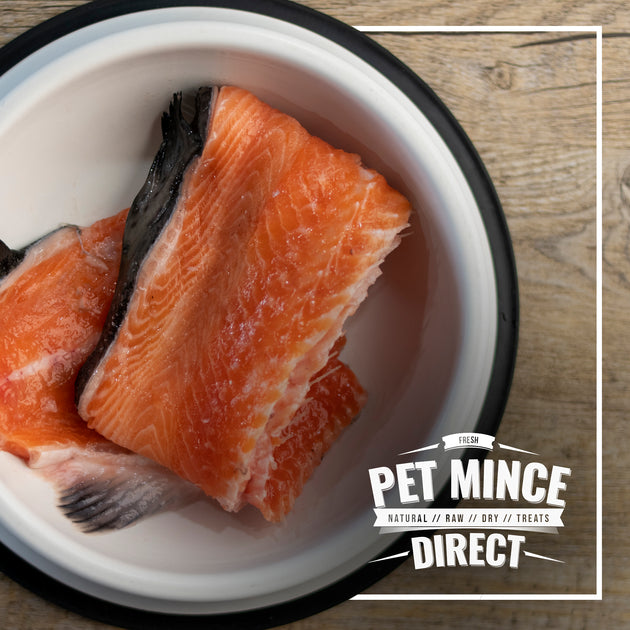 SALMON FRAME | Pet Mince Direct