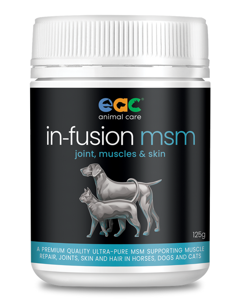 in-fusion msm - Ultra Pure Methylsulfonylmethane Joint Supplement For ...
